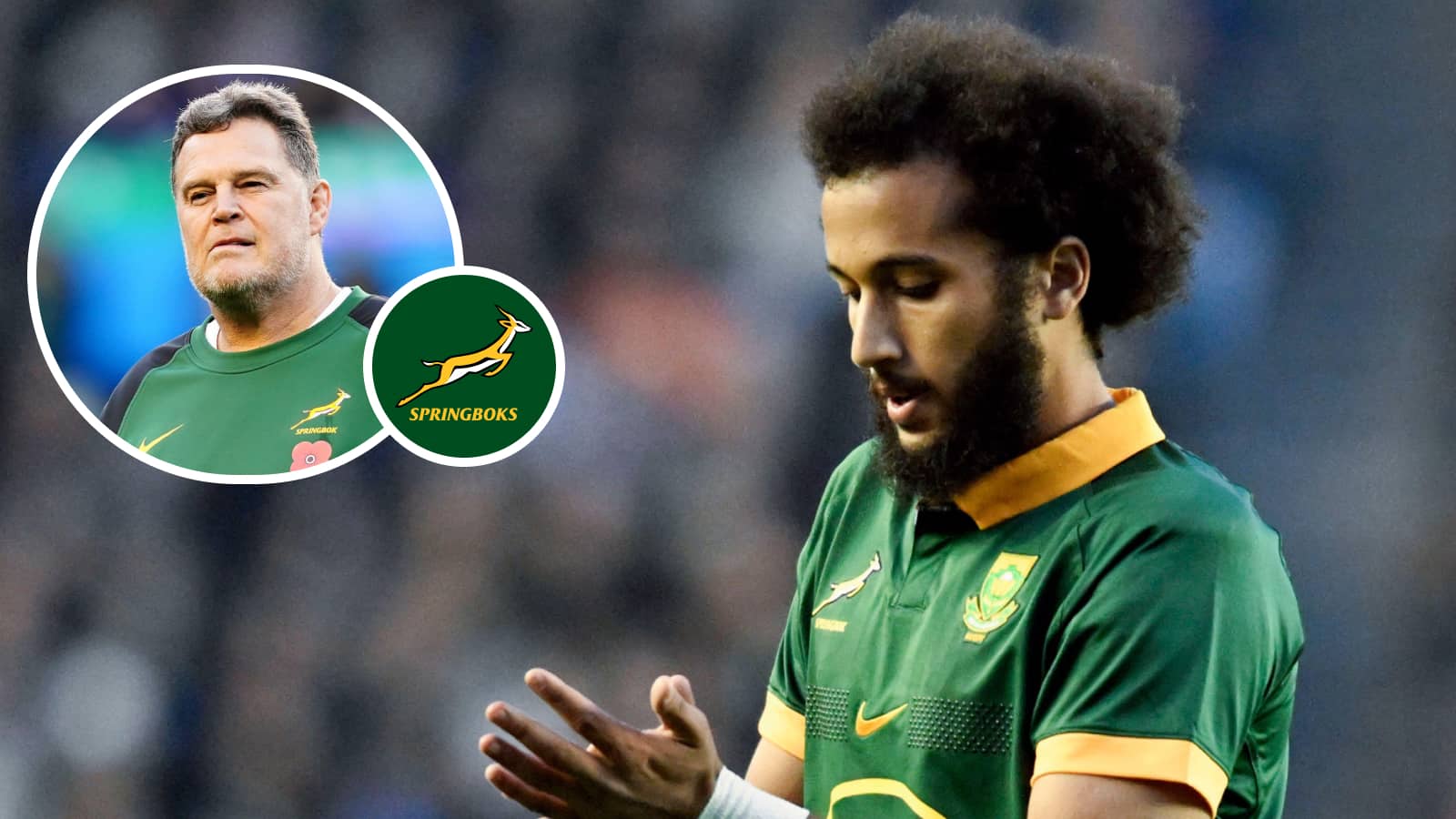 Springboks: What "really frustrated" Rassie Erasmus in Scotland victory ...